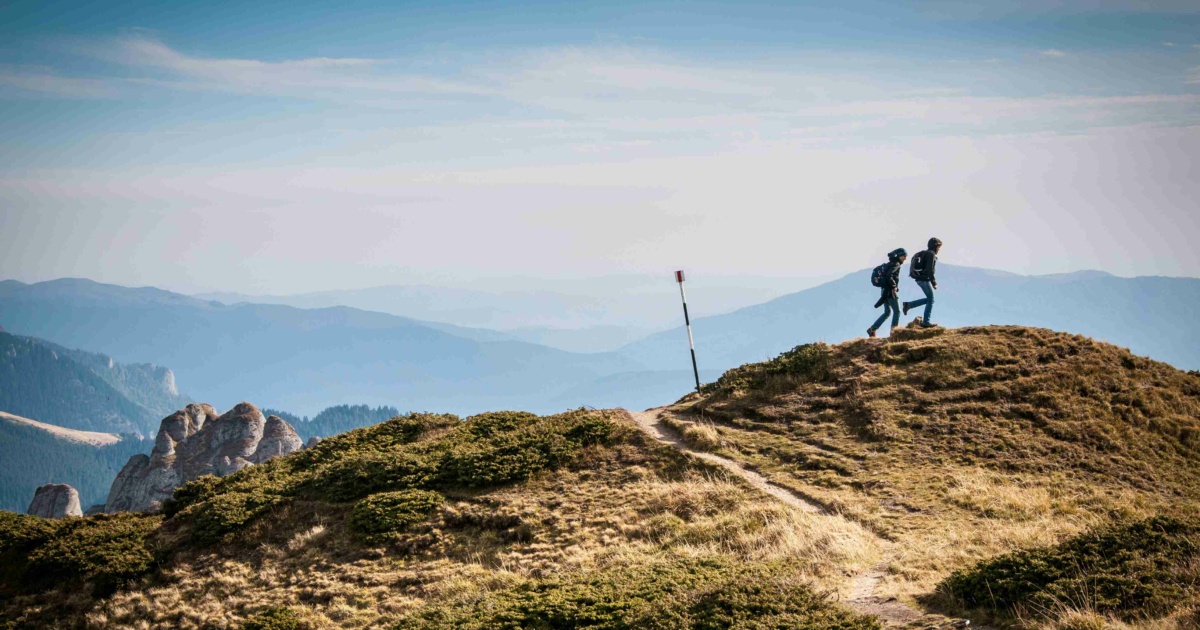 Wir sind monday.com Solution Partner! | a&f systems