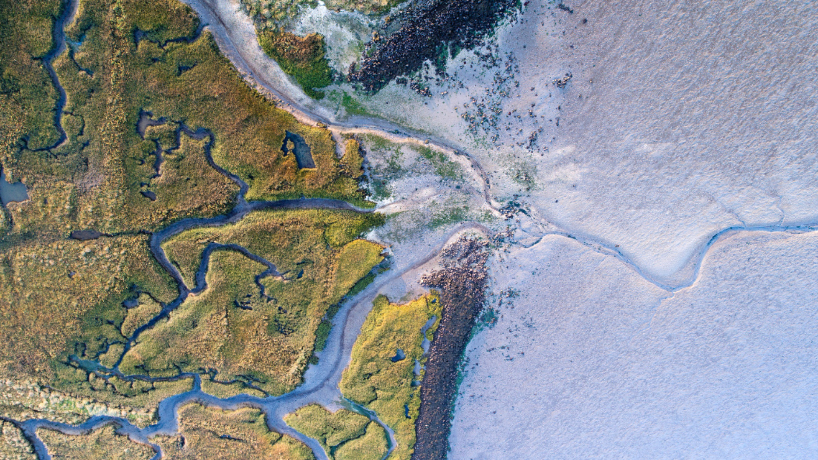 Blog - Bleiben Sie auf dem Laufenden | a&f systems ag