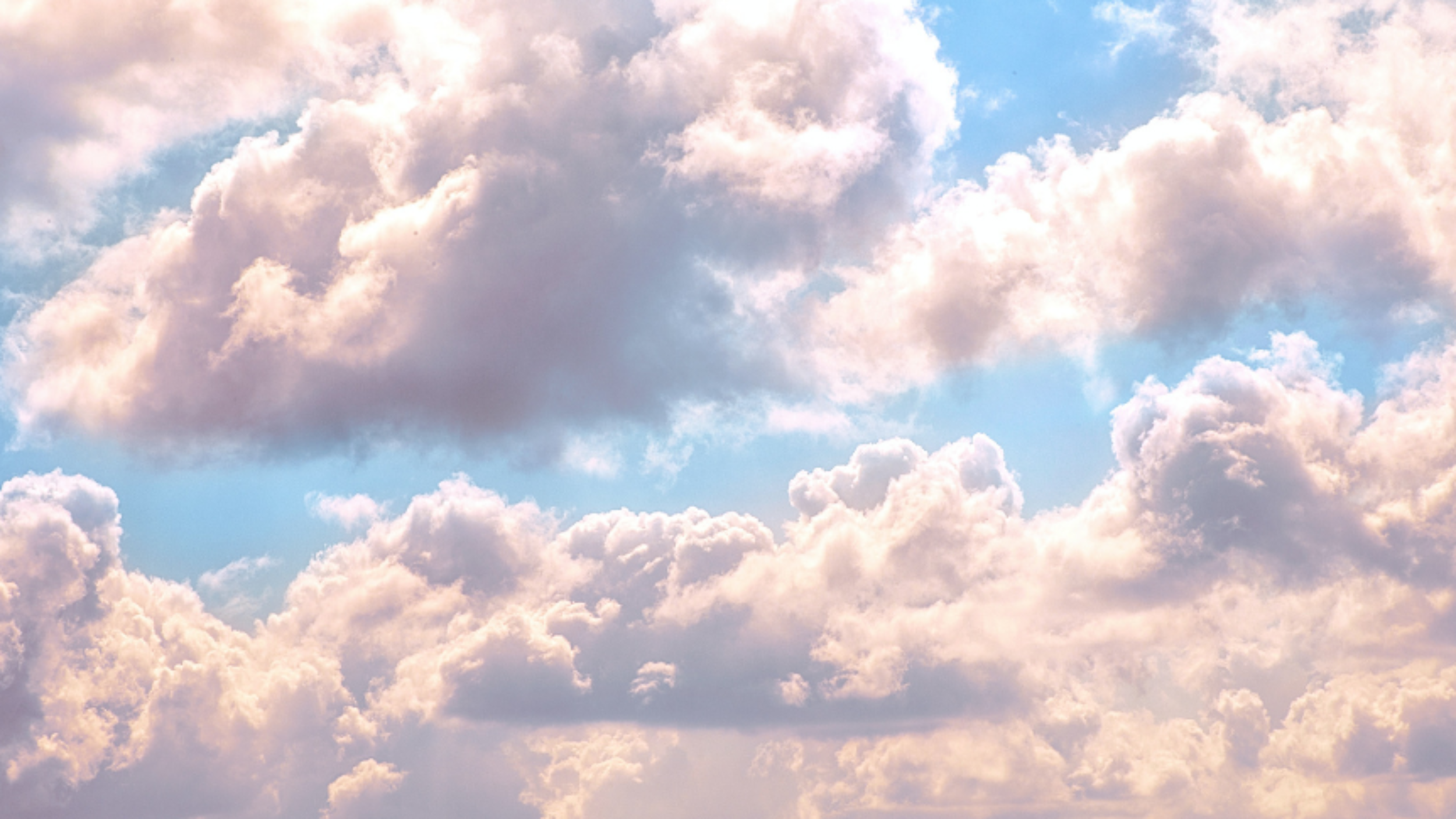 Software und Infrastruktur in der Cloud | a&f systems